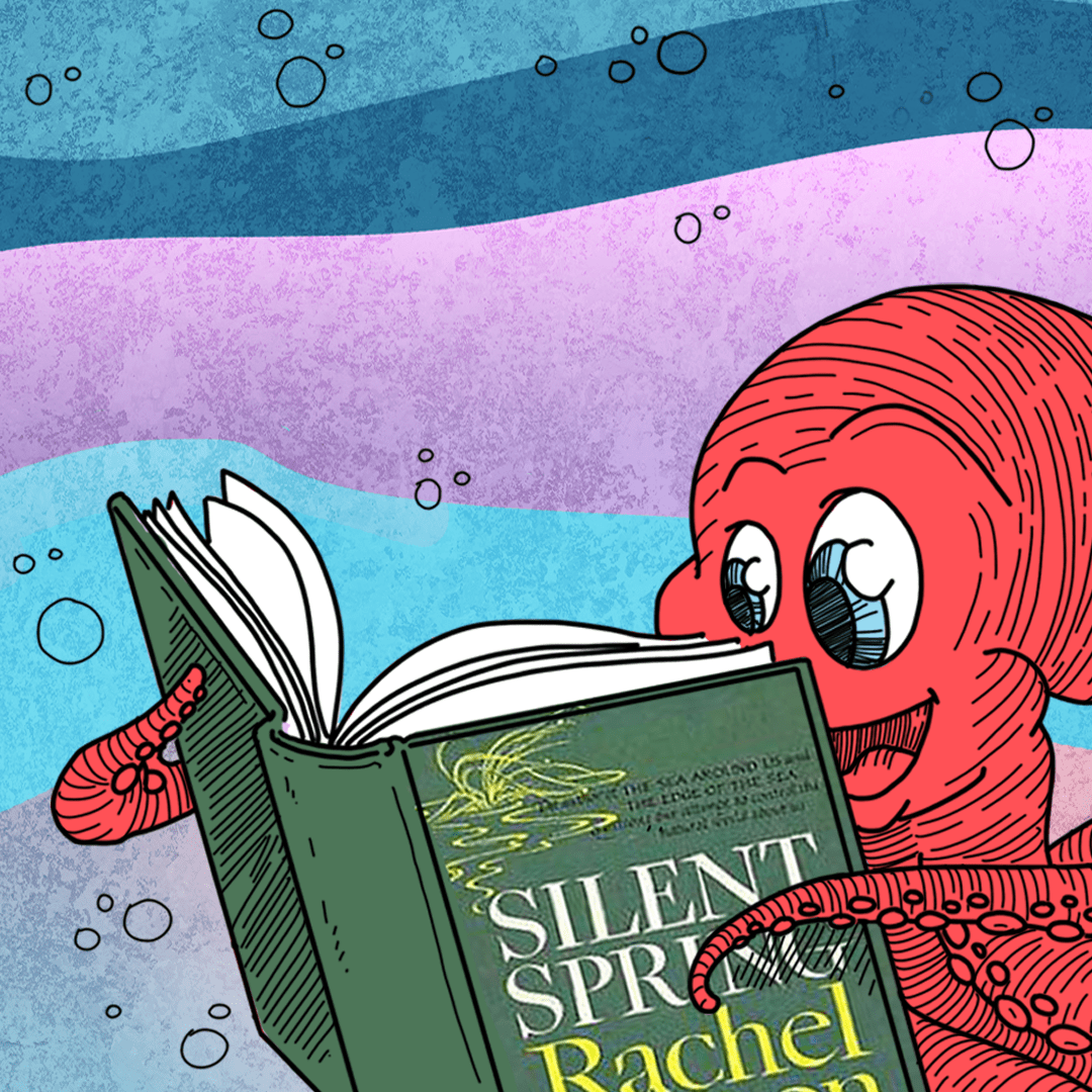 Eco Reading for Parents About Climate Changes - Kat Kid Adventure